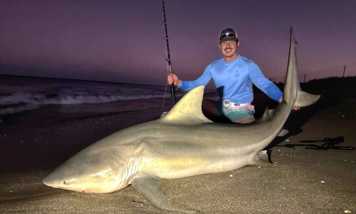 Florida: Angler fängt riesigen Bullenhai, aber verzichtet auf Rekord