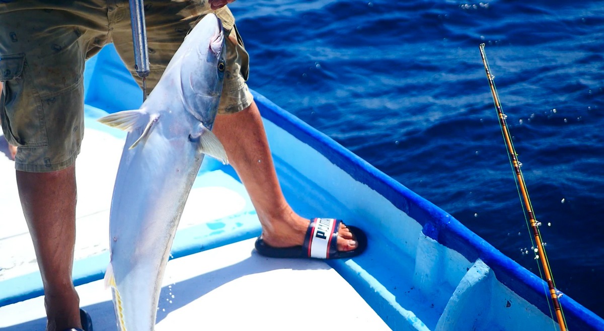 Meeresangler in Kalifornien befürchten weitere Angelverbote - BLINKER