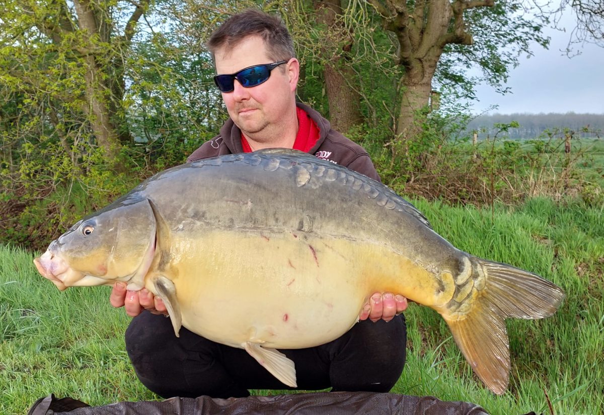 Niederlande: Karpfenbesatz zahlt sich aus - BLINKER