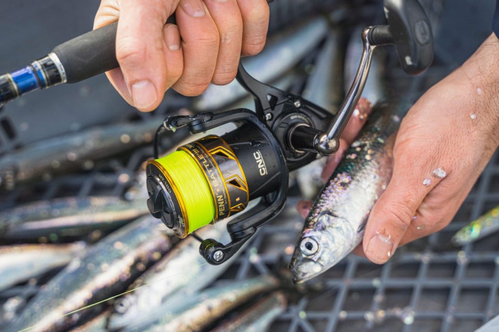 Meeresangeln - BLINKER