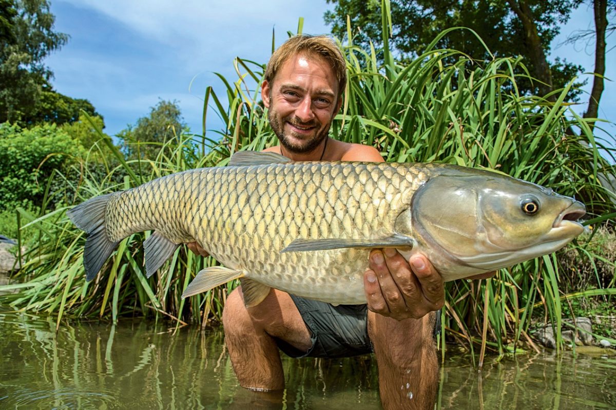 Welche Fische beißen beim Angeln im Juli? - BLINKER