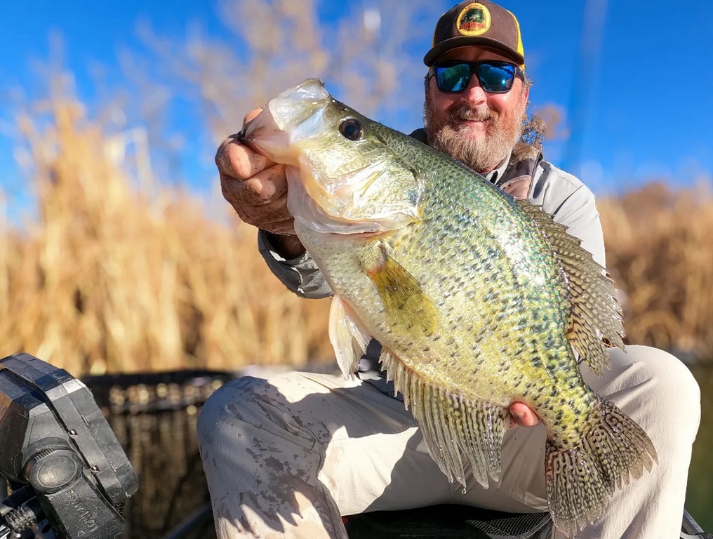 Crappie Fiskerigger BRAND NEW * 2 * Eagle Claw Crappie Rigs With #6