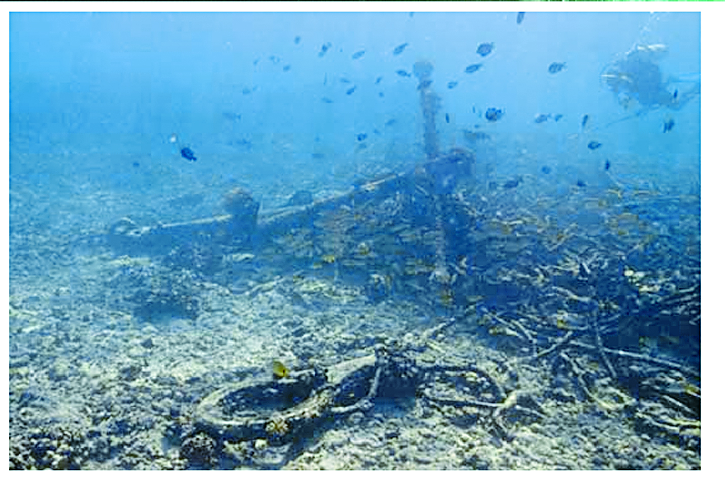 Wrackangeln: Schatzkarten für Angler - BLINKER