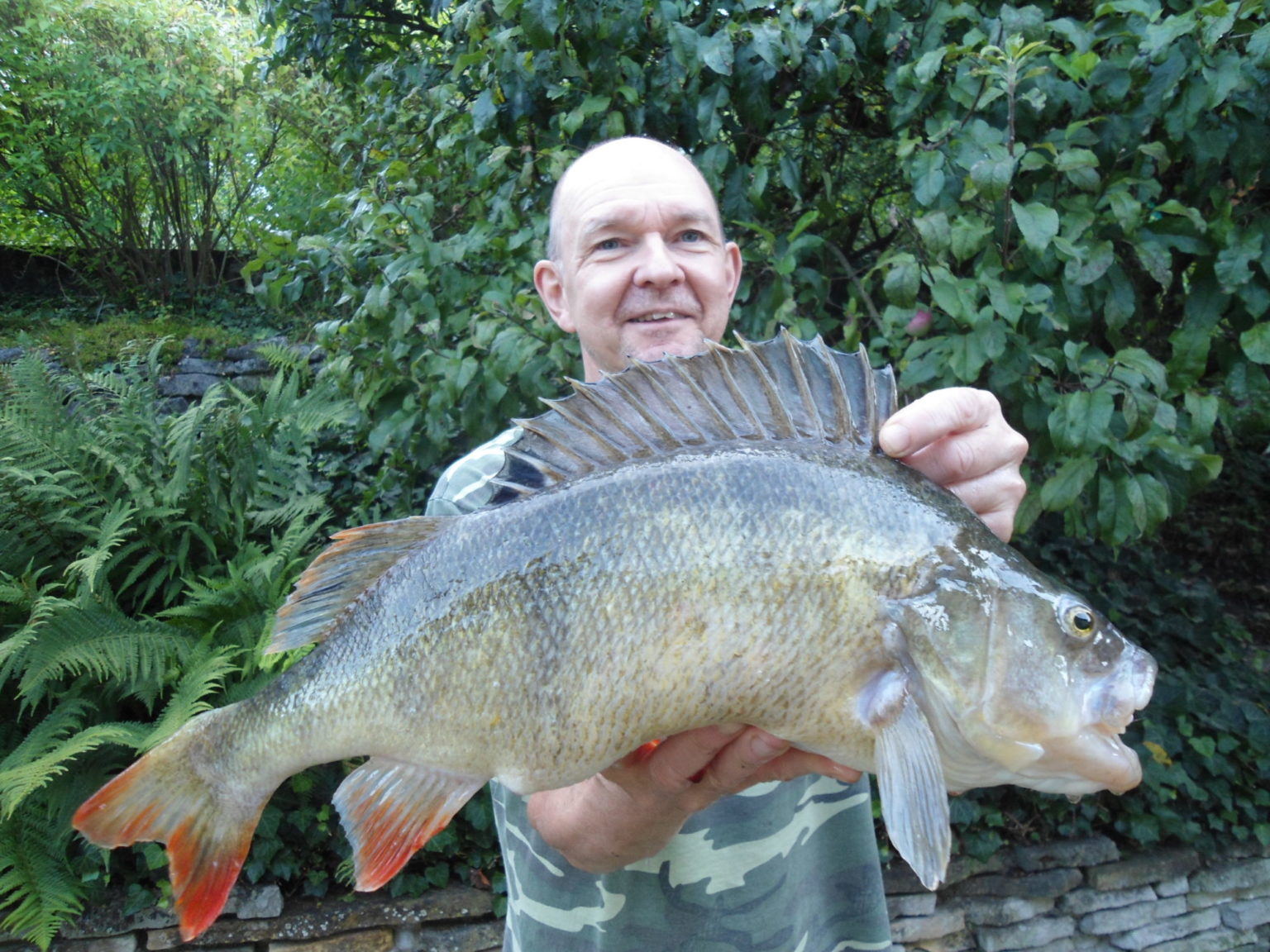 Die 10 größten Barsche der vergangenen 10 Jahre - ein Detail fällt ...