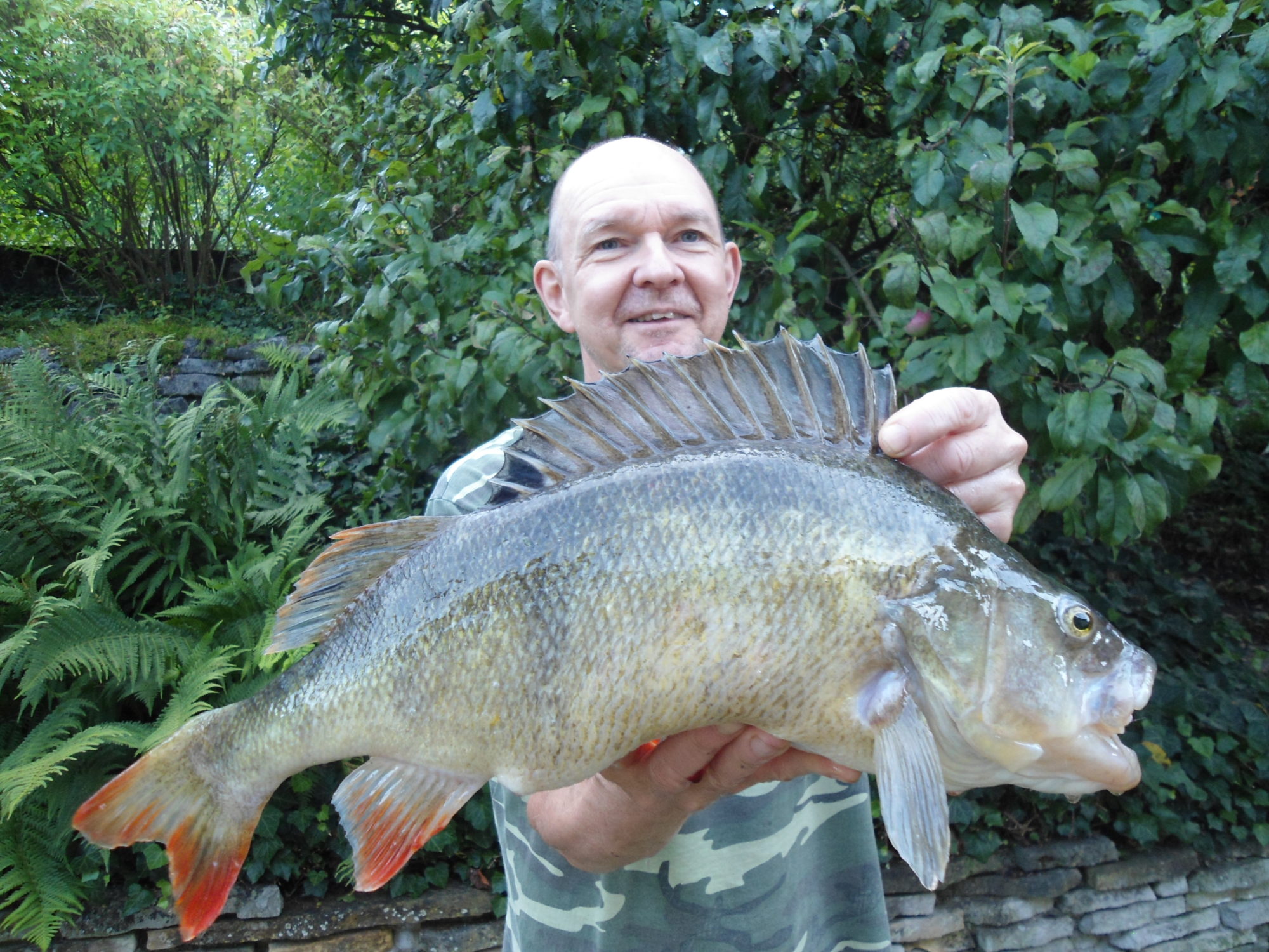 Die Rekord Barsche aus 10 Jahren BLINKER