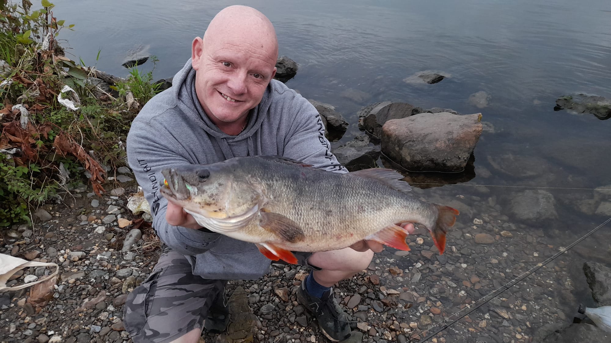 Die 10 größten Barsche der vergangenen 10 Jahre - ein Detail fällt ...