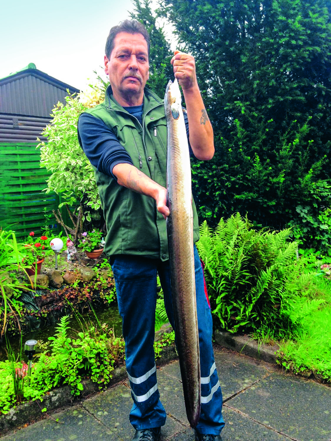 Die Rekord Aale aus 10 Jahren BLINKER