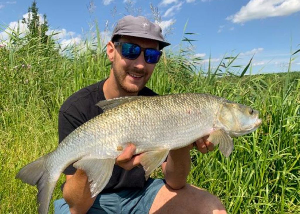 Oberflächenangeln: So klappt die Topwater-Angelei auf Barsch und Rapfen