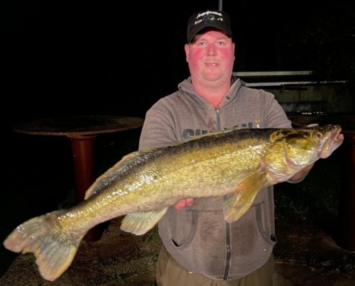 Jetzt beißen die Zander super! - BLINKER