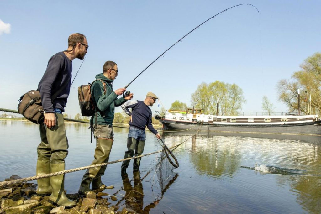 Cup-Rig für Raubfische: Fangen mit dem japanischen Finesse-Fallschirm