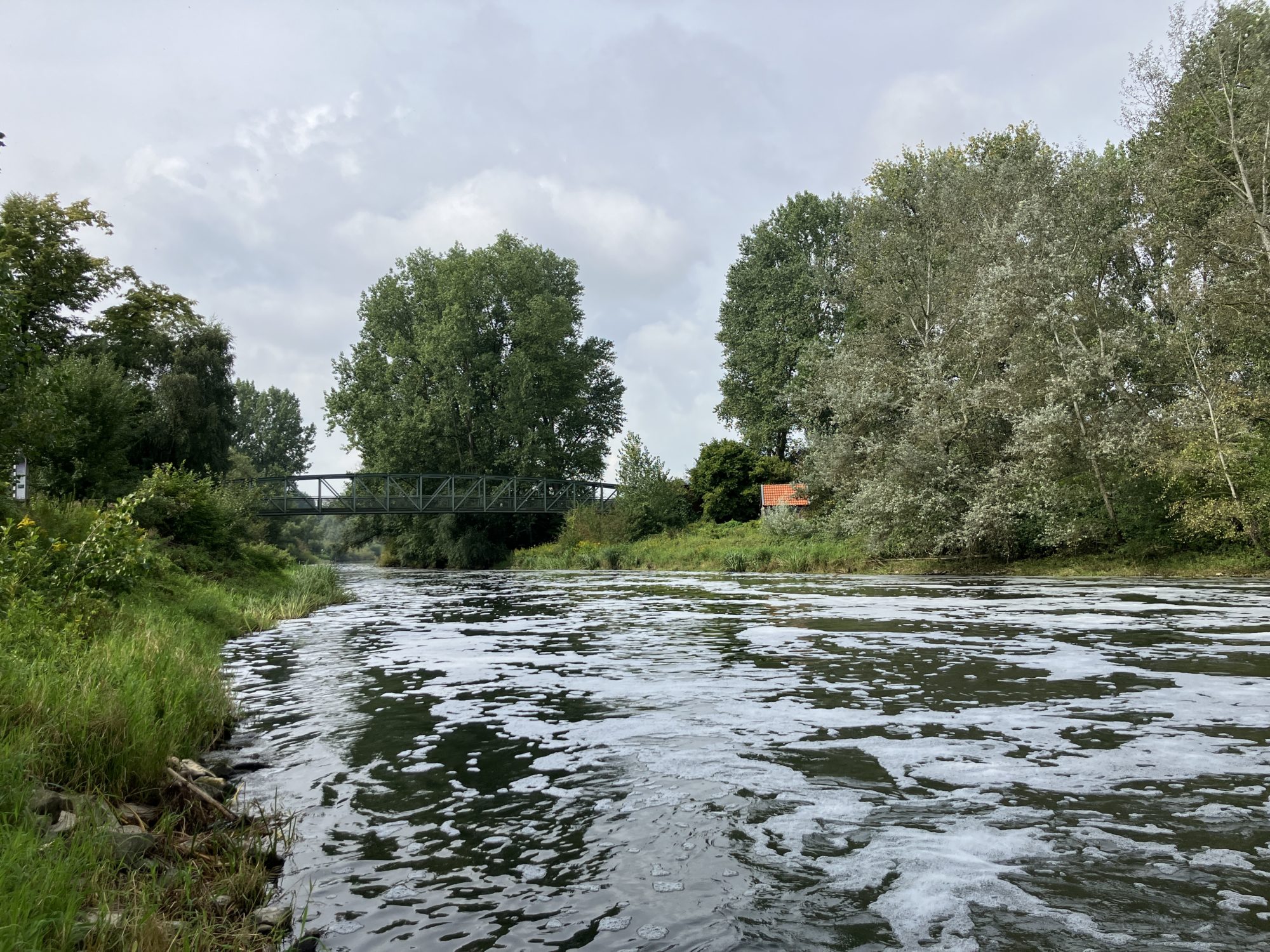 100.000 Aale für die Lippe - BLINKER