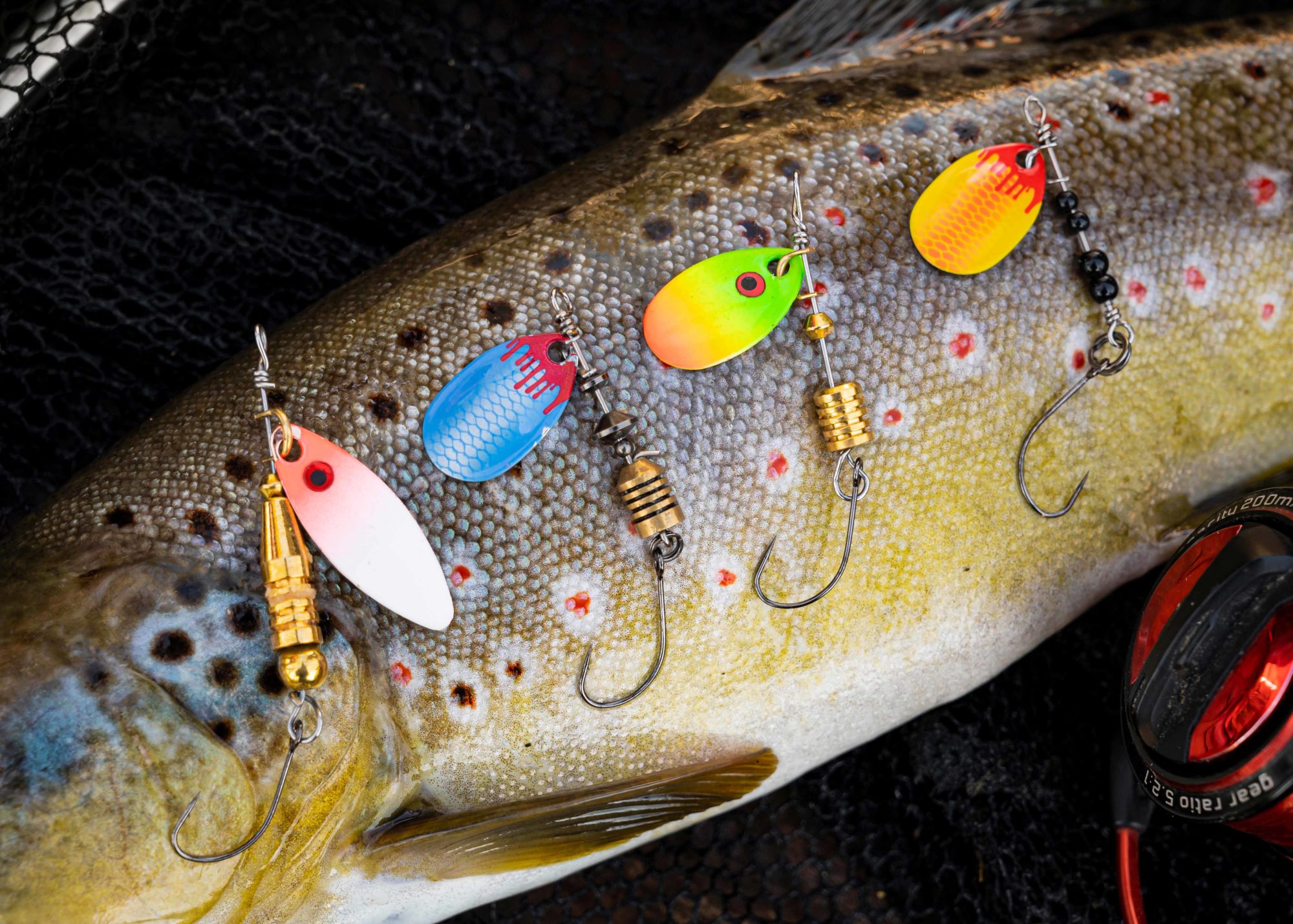 Spinnfischen mit dem Spinner: Ein Guide für Anfänger - BLINKER