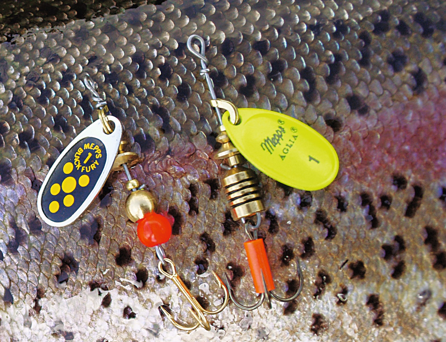 Spinnfischen mit dem Spinner: Ein Guide für Anfänger - BLINKER