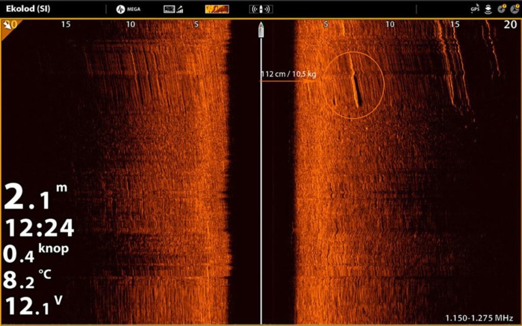 Angeln mit Echolot: Wie lese ich Echolotbilder? - BLINKER