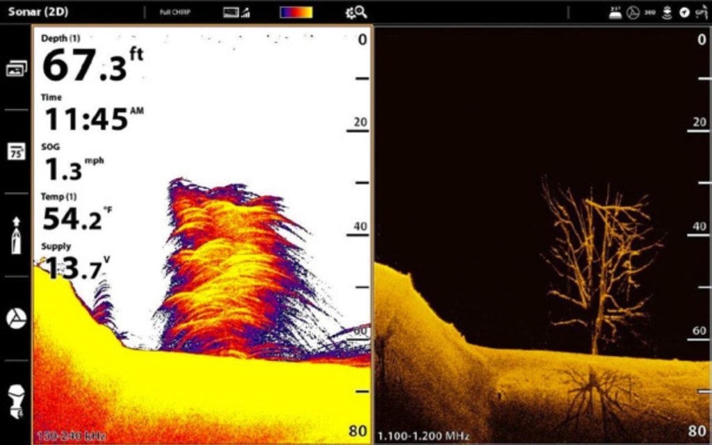 Angeln mit Echolot: Wie lese ich Echolotbilder? - BLINKER