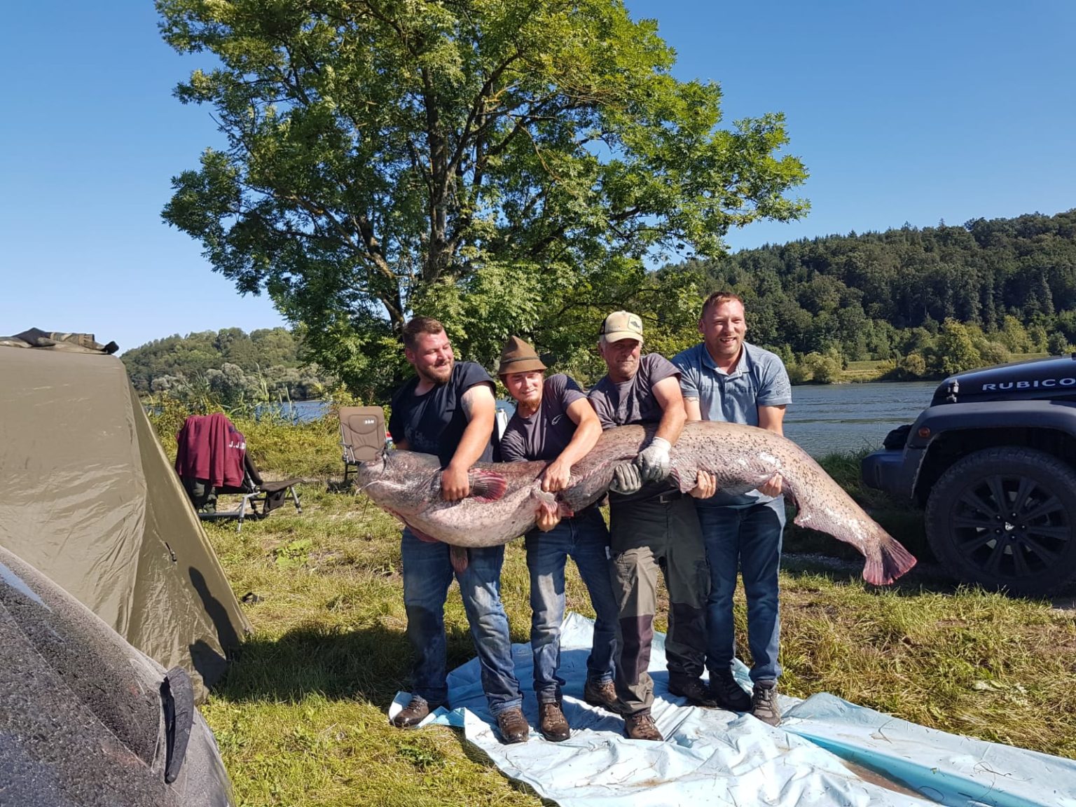 Wahnsinns-Welse: Die 19 größten Welse - ein Detail fällt Anglern sofort ...