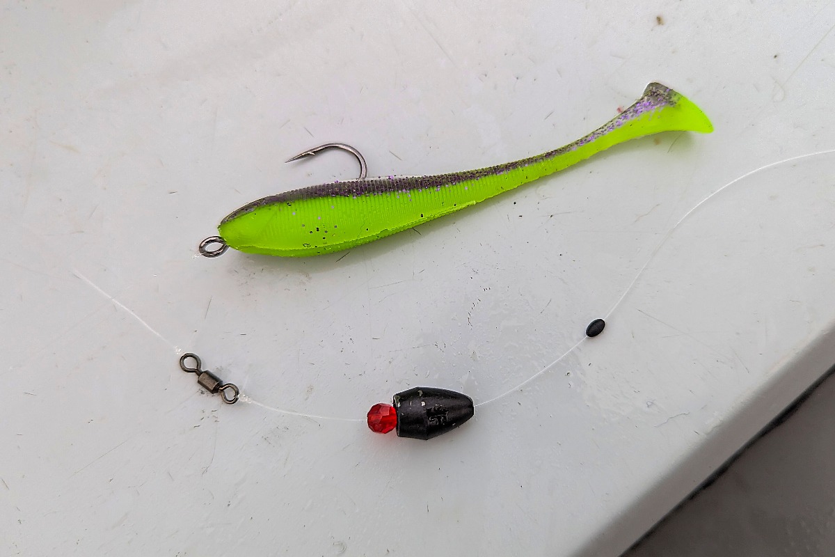 Carolina-Rig: Wie lang darfs denn sein? - BLINKER