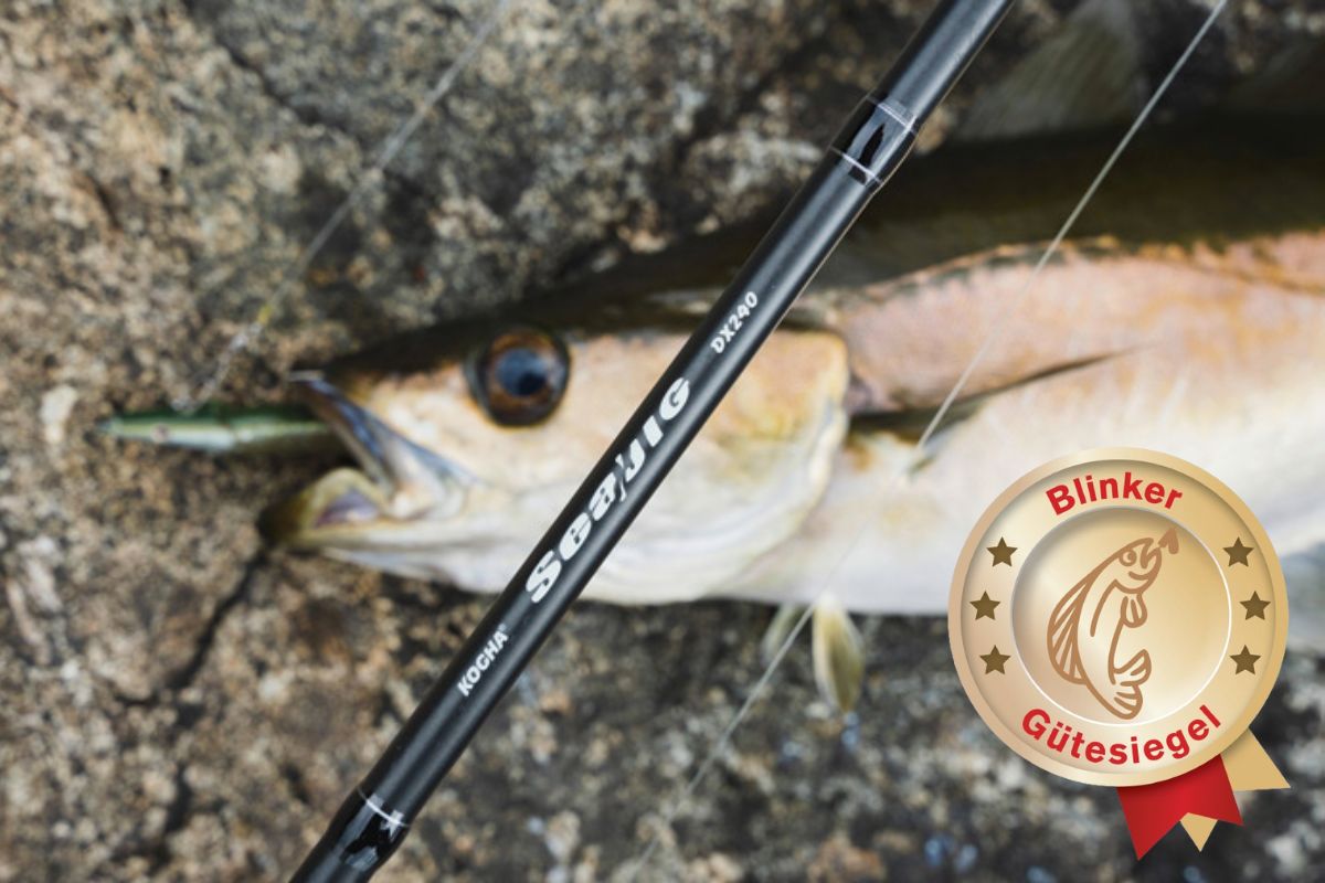 Die Meeresrute Kogha Sea Jig DX im Test - BLINKER
