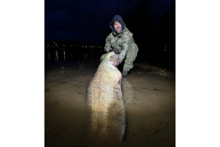 Wels im Winter: 2,16 Meter Riesen-Wels in der Mosel gefangen - BLINKER