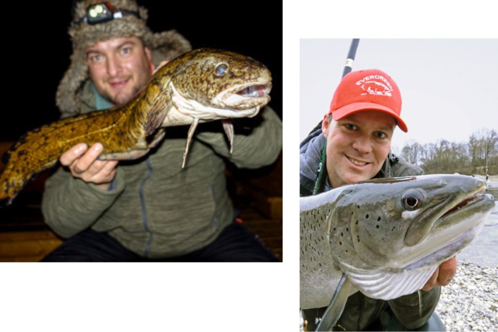 Kein Frust bei Frost: So verhalten sich Fische im Winter - BLINKER