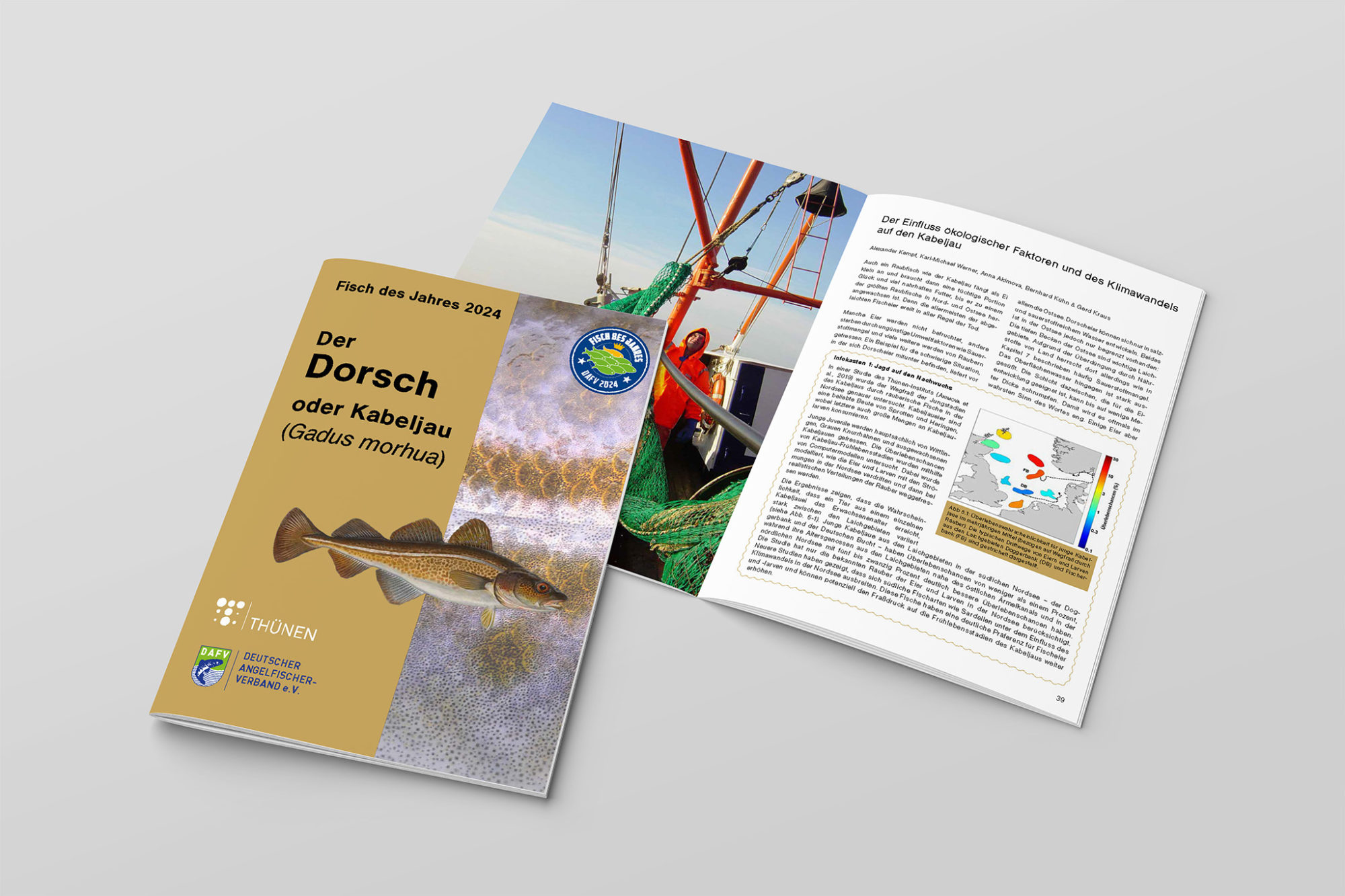 Heft zum Dorsch - alles über den beliebten Fisch - BLINKER