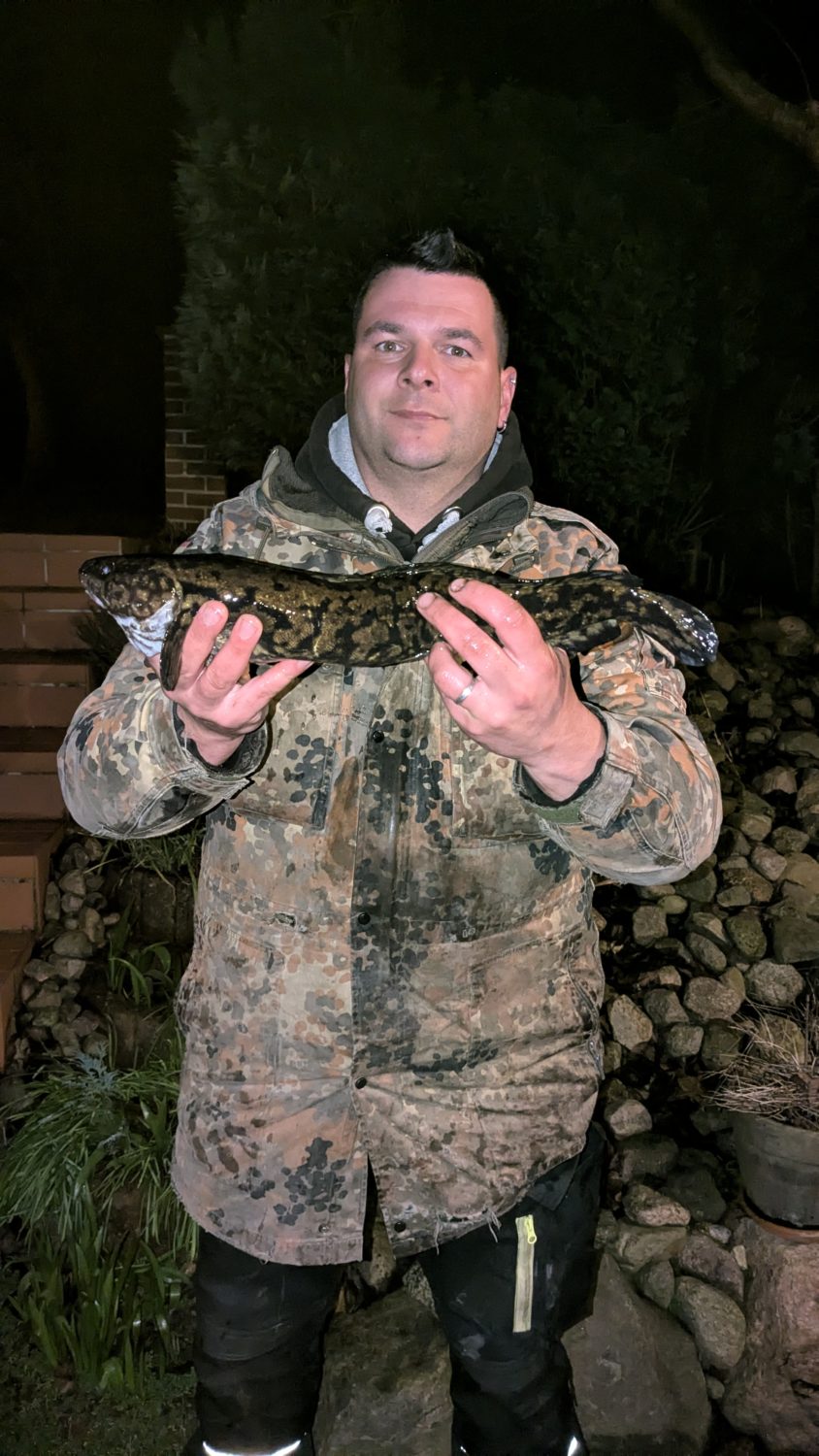 So läuft es aktuell auf Quappe: Die Top 5 aus 2025 - BLINKER