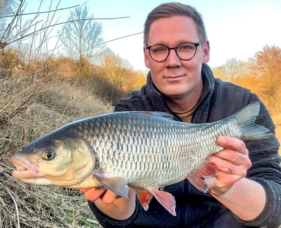 Feierabend-Döbel - BLINKER