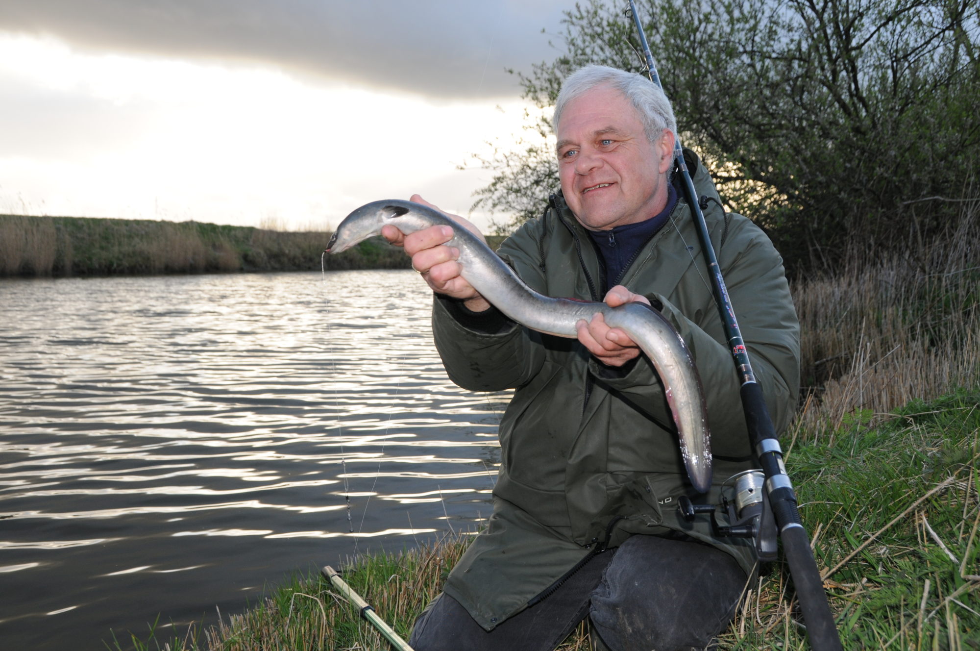 Wels-Angriff: Wer beißt denn da? Bissige Fische im Süßwasser - BLINKER