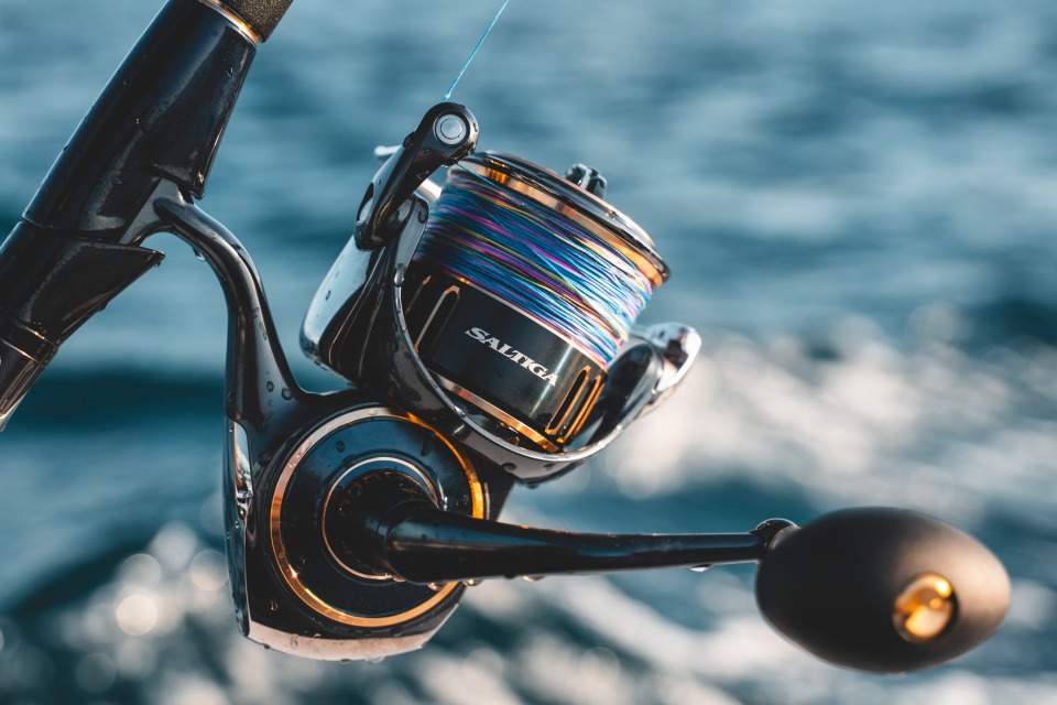 Goddess bailey nudes taller than I thought and featuring a