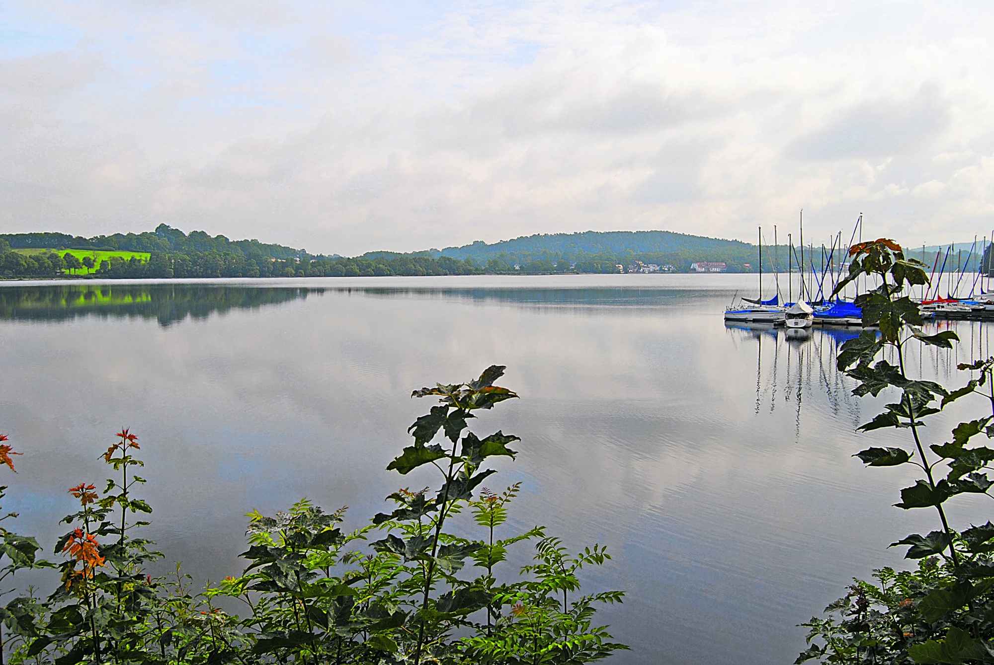 Nimratxxx she’s nice looking and the girl in the pics,
