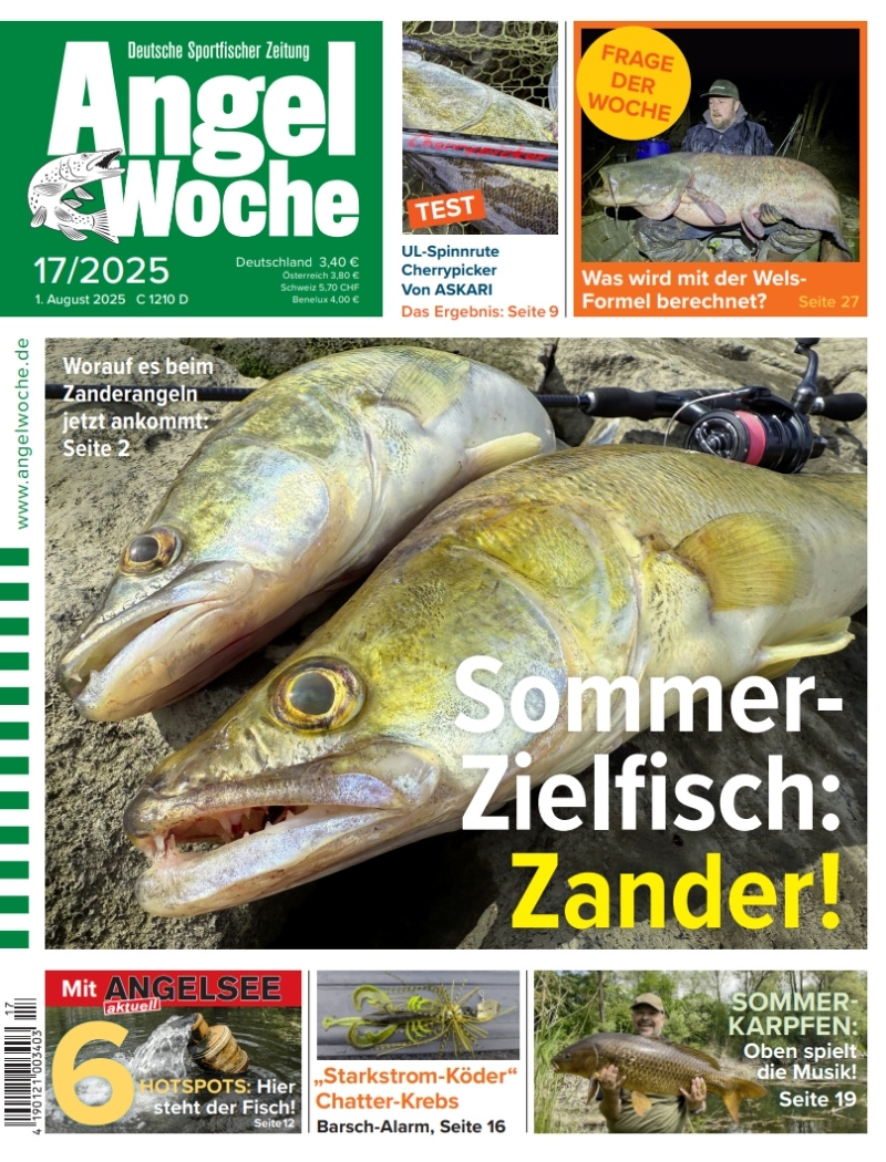 Angelparadies Steinbachtal: Update im Mafia- und Drogen-Fall - BLINKER