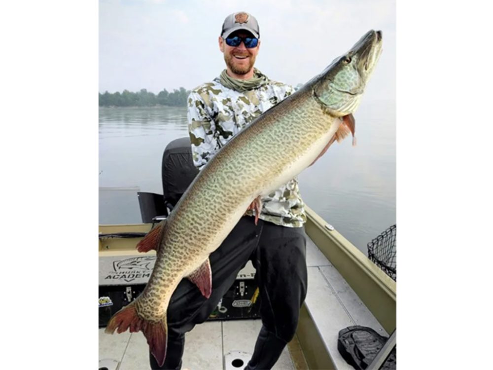 1,44 Meter: Mega-Muskie aus Wisconsin - BLINKER
