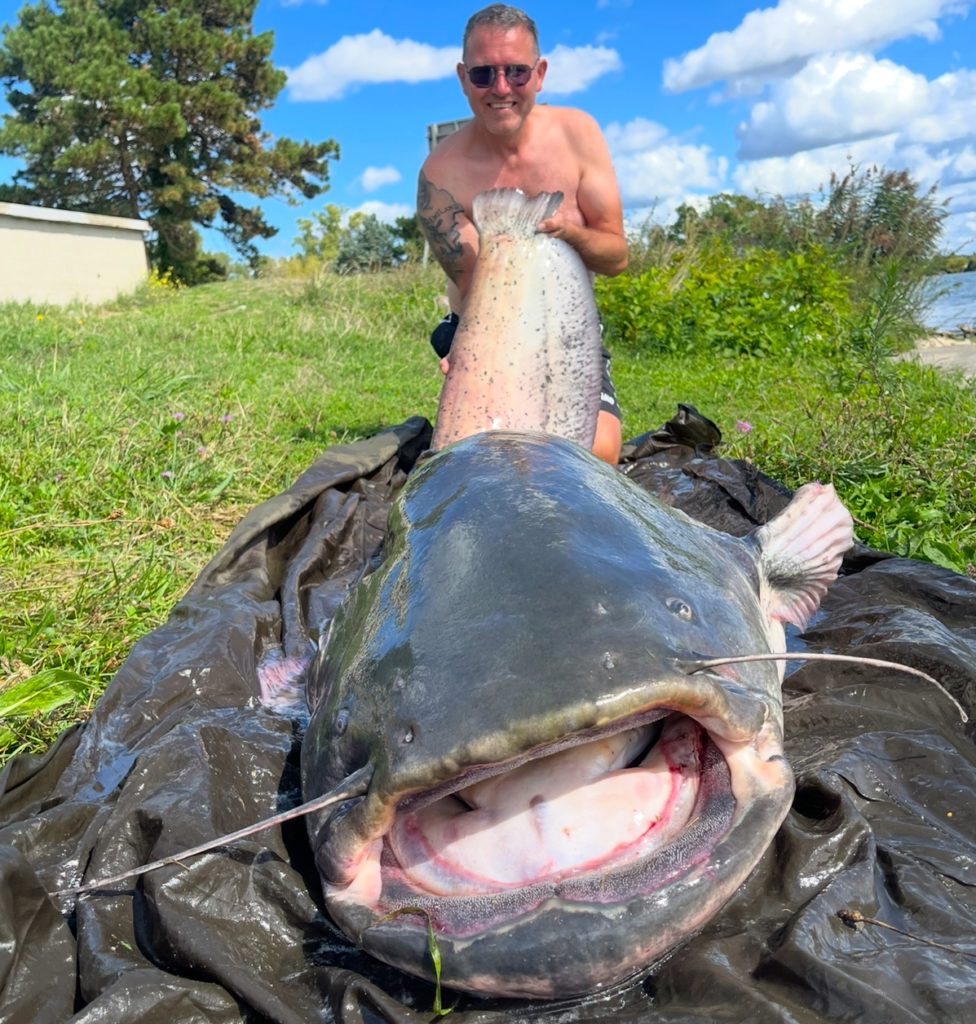 Die Ergebnisse der AngelMasters 2025 - BLINKER