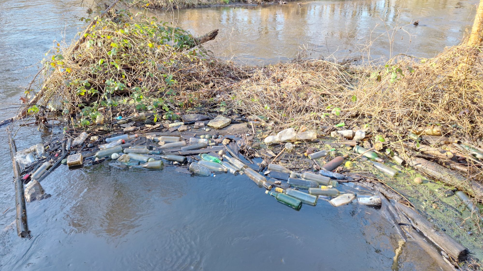 Von Angeln zu Clean-Up: Müllfalle im Fluss - BLINKER