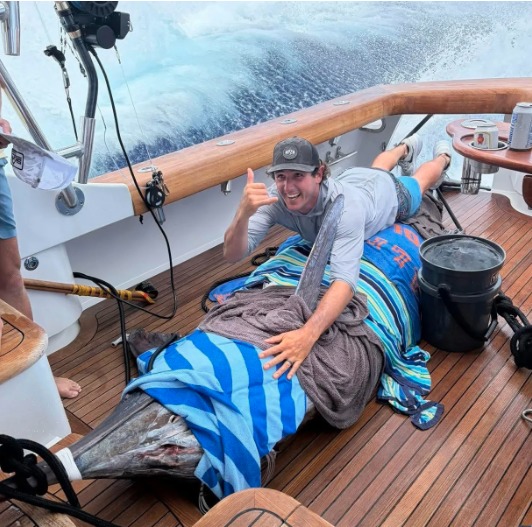 Über 900 Pfund schwer: Blauer Marlin bringt Rekordsumme - BLINKER