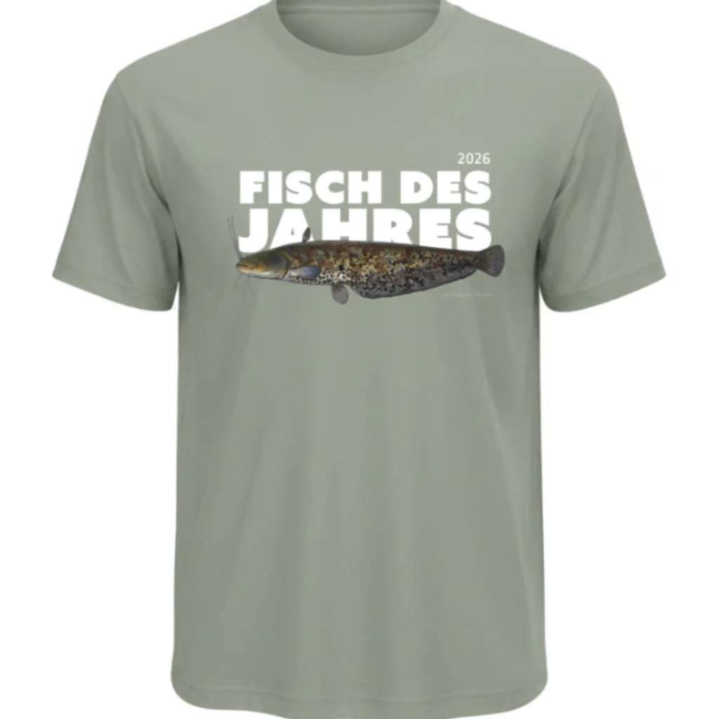 Exklusives Wels-Shirt zum Fisch des Jahres 2026! - BLINKER