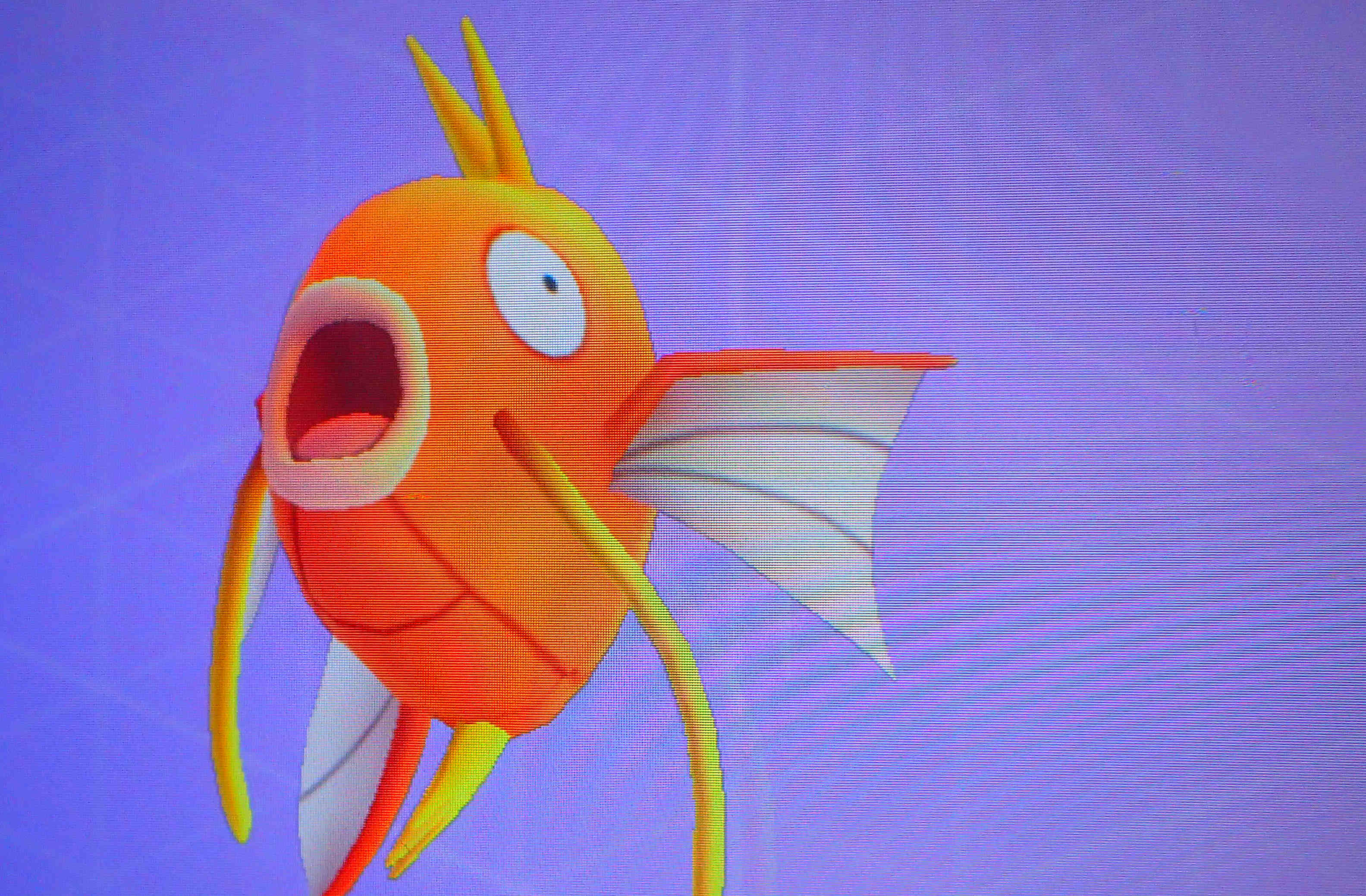 Karpador und Goldini fangen